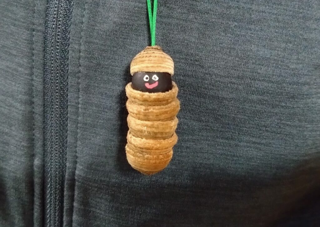 10月, 2025 - NPO法人千葉県森林インストラクター会