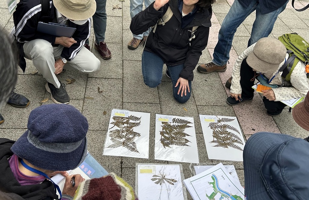11月, 2025 - NPO法人千葉県森林インストラクター会