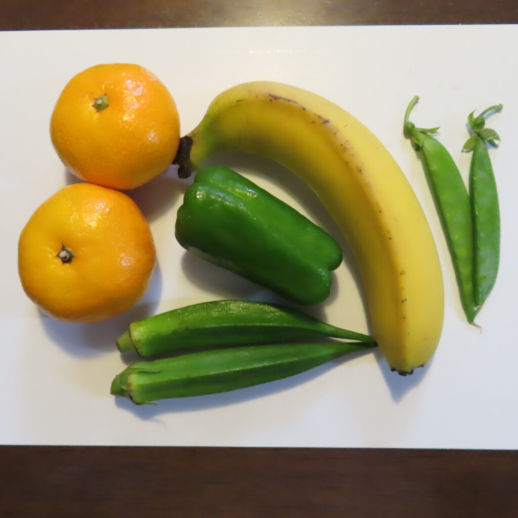 講座のご案内 - NPO法人千葉県森林インストラクター会