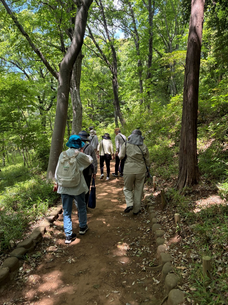 健康と癒しの森歩き - NPO法人千葉県森林インストラクター会